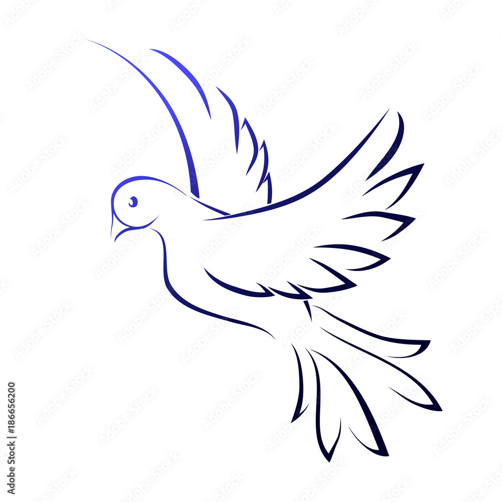 Image of a dove, vector. Flying bird, lines Stock Vector | Adobe Stock