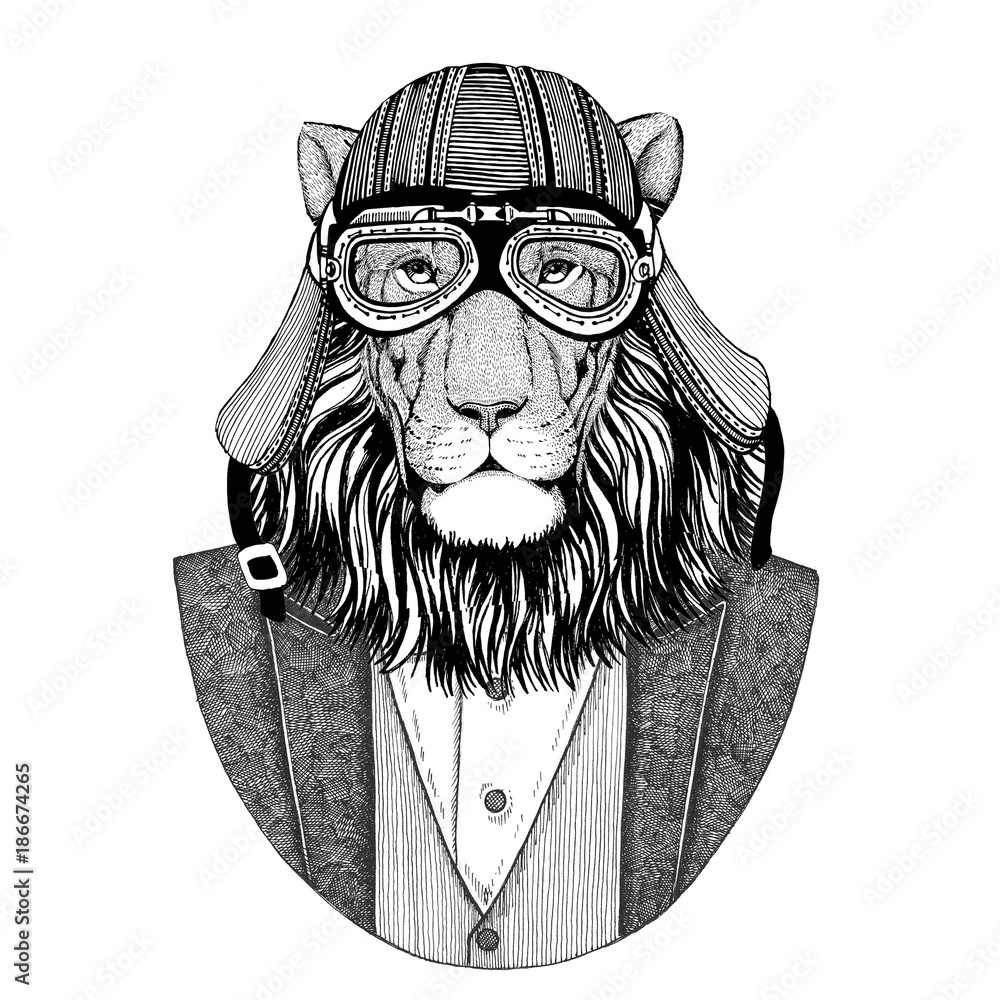 Wild cat. Lion. Animal wearing jacket with bow-tie and biker helmet or ...