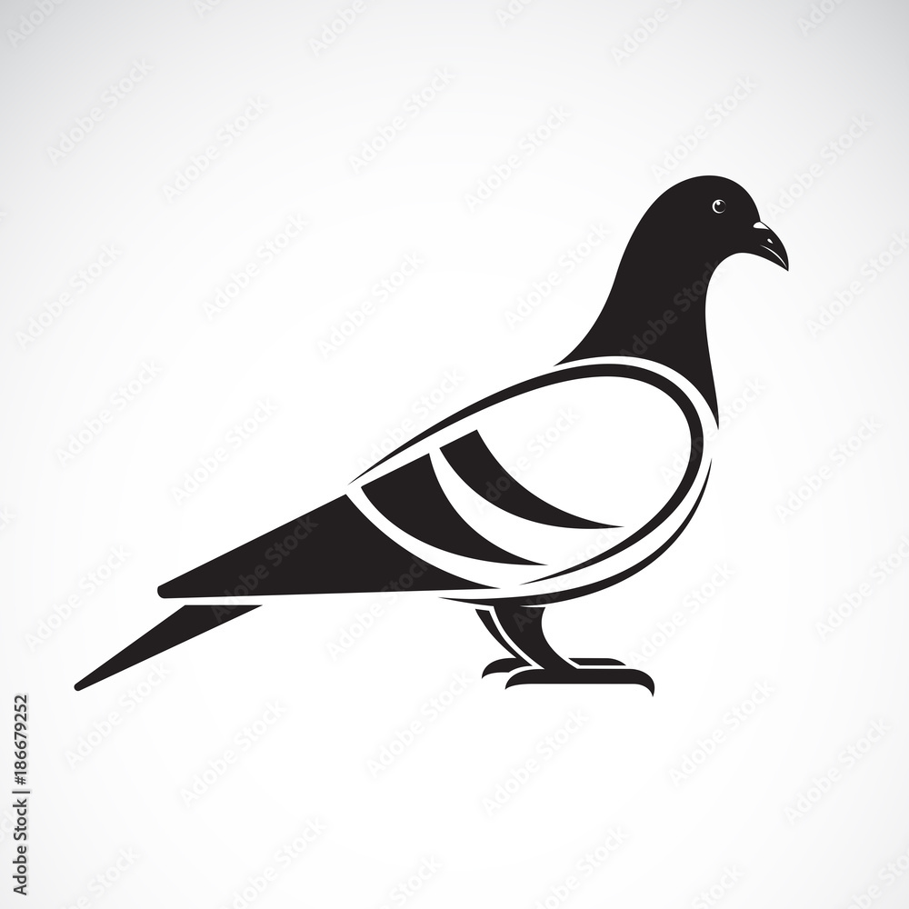 Vector of a pigeon design on white background. Bird. Animals. Vector ...