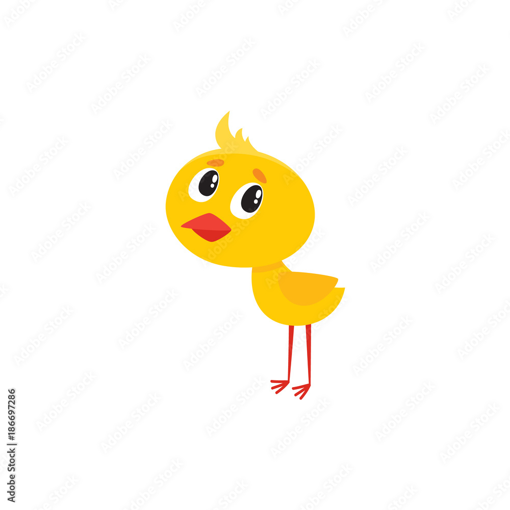 vector cartoon cute baby chicken character. Yellow small funny chick ...