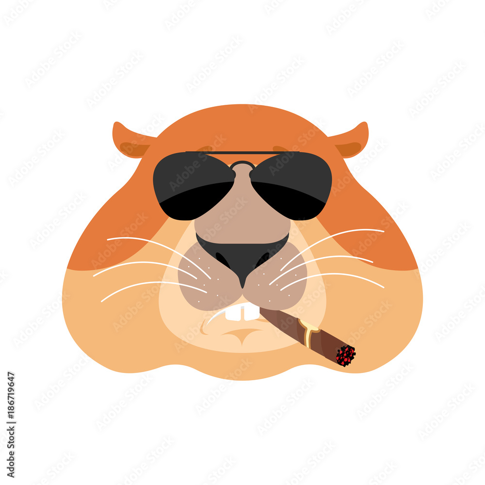 Groundhog Smoking