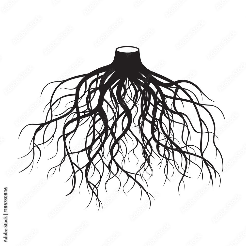 Black Roots Tree. Vector Illustration. Stock Vector | Adobe Stock