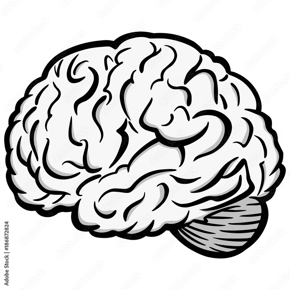 Brain Graphic Illustration - A vector cartoon illustration of a Brain ...