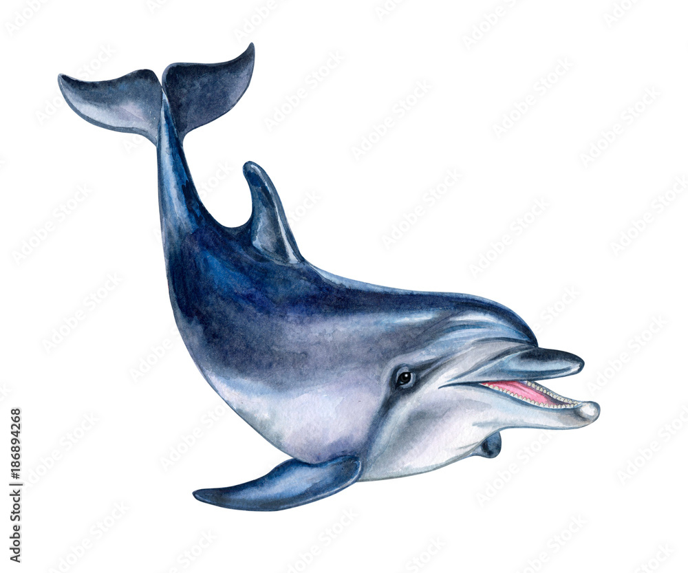 Dolphin Template