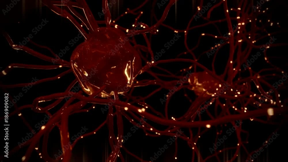 Vidéo Stock Human neurons with firing synapses. 4K UHD animation ...