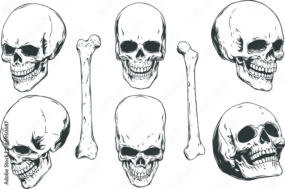 Real Skull Angles