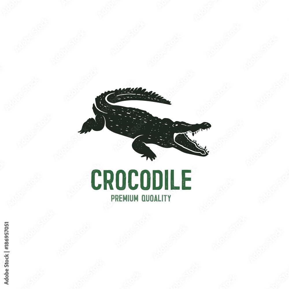 crocodile logo template. Symbol of alligator, Crocodile with text. Wild ...