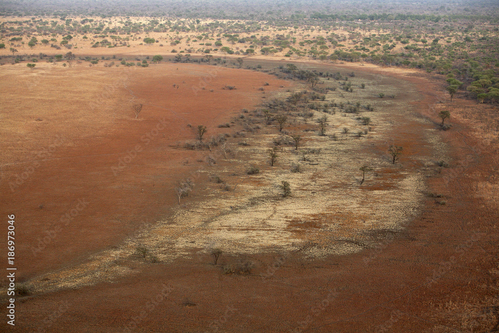 Chad, Zakouma National Park, trees in the middle of the steppe Stock ...