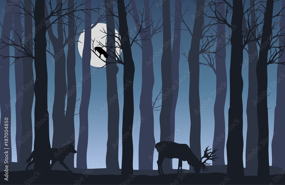 Vector flat illustration of night forest landscape with silhouettes of ...
