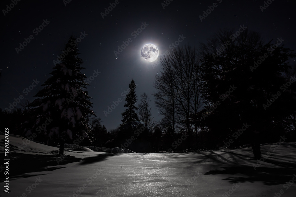 Treeline with Night Moon - Long exposure image showing a moonlit ...