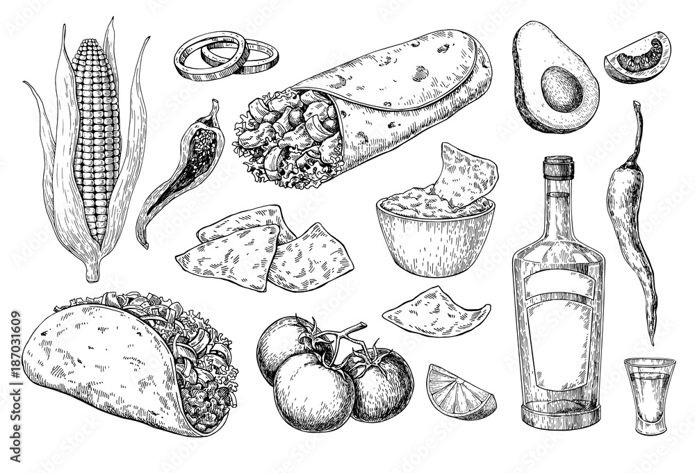 Mexican cuisines drawing. Traditional food and drink vector illu Stock ...