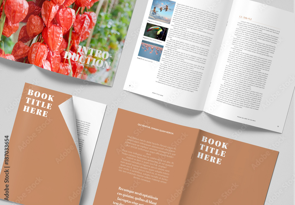 Simple Magazine Layout Stock Template | Adobe Stock