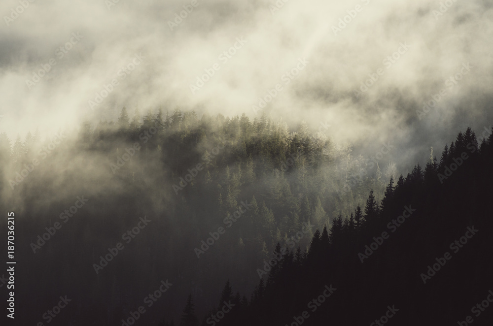 Mountain landscape with fog Stock Photo | Adobe Stock