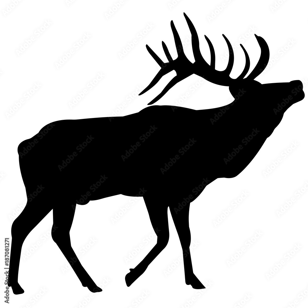 Elk Stock Vector | Adobe Stock