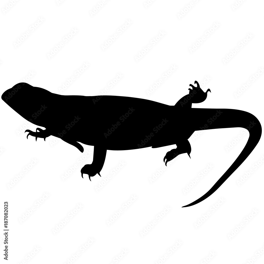 Lizard Silhouette Vector Graphics Stock Vector | Adobe Stock
