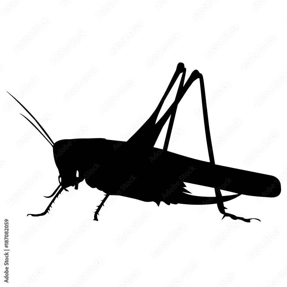 Locust Silhouette Vector Graphics Stock Vector | Adobe Stock