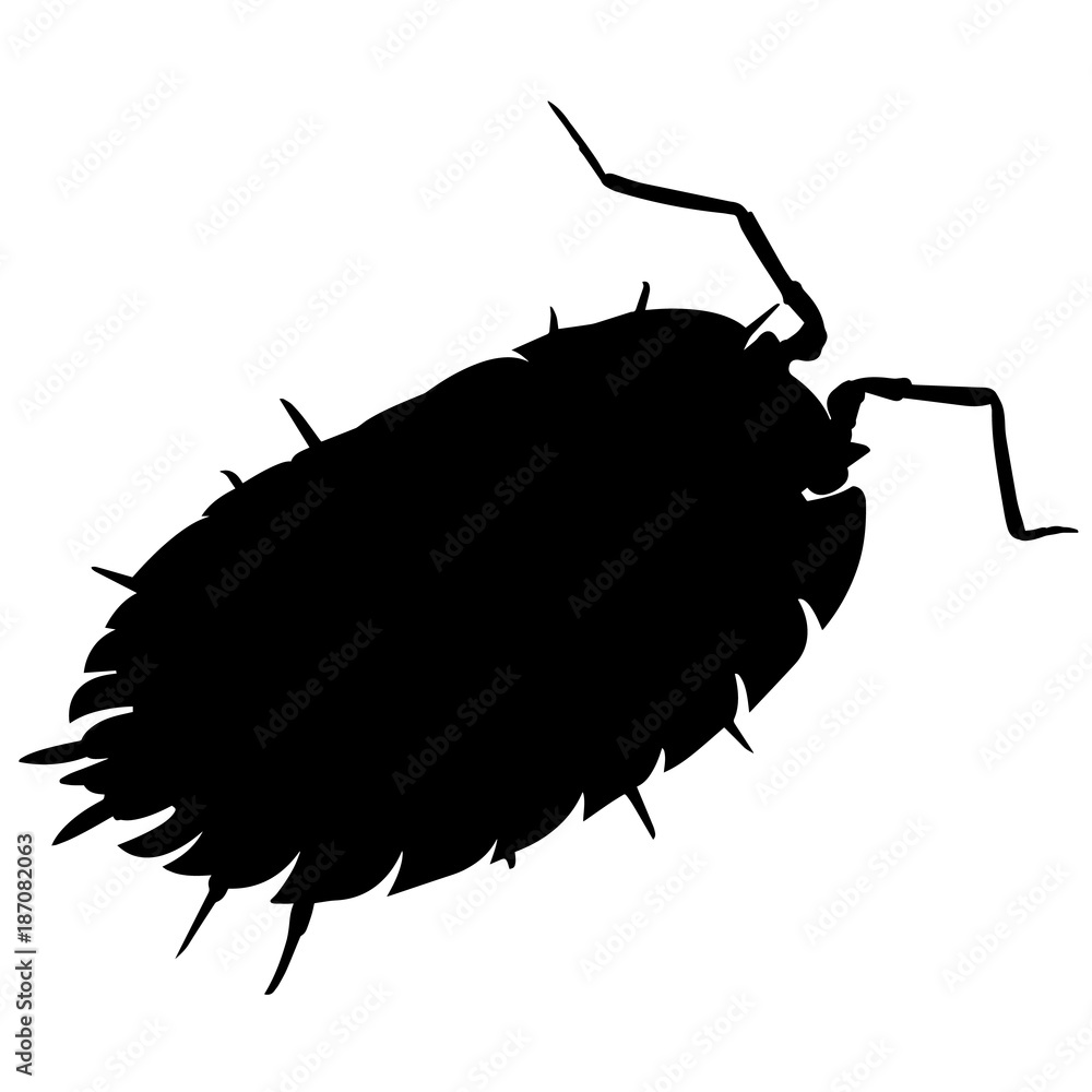 Louse Silhouette Vector Graphics Stock-Vektorgrafik | Adobe Stock