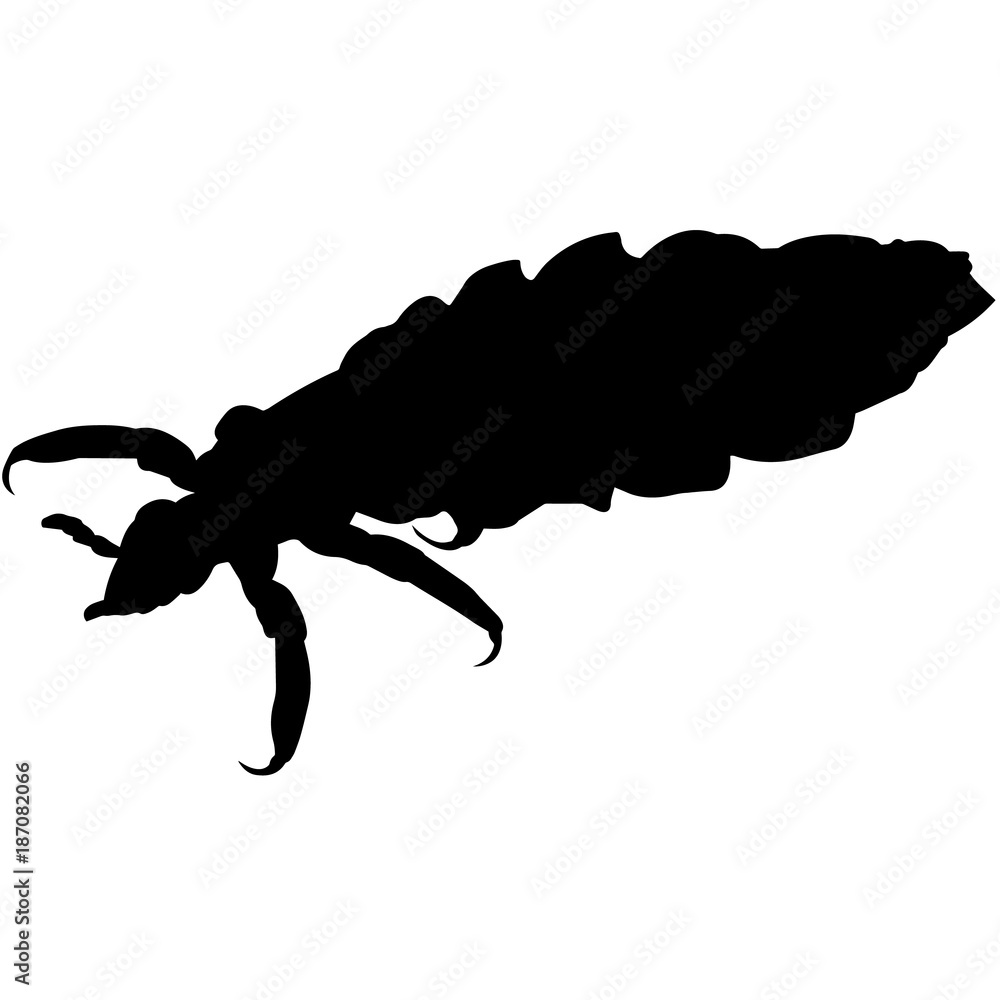 Louse Silhouette Vector Graphics Stock-Vektorgrafik | Adobe Stock