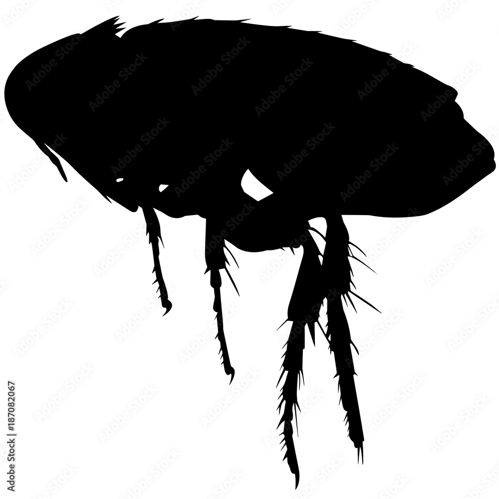 Louse Silhouette Vector Graphics Stock-Vektorgrafik | Adobe Stock