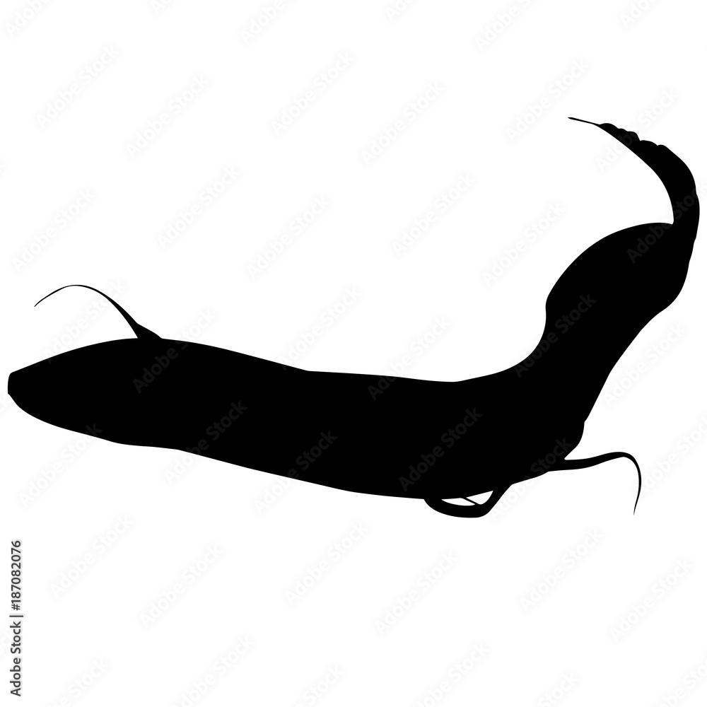 Lungfish Silhouette Vector Graphics Stock Vector | Adobe Stock