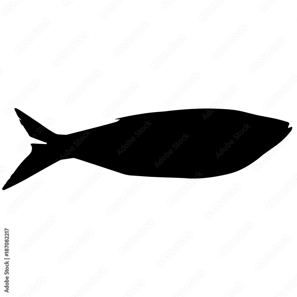 Minnow Silhouette Vector Graphics Stock Vector | Adobe Stock
