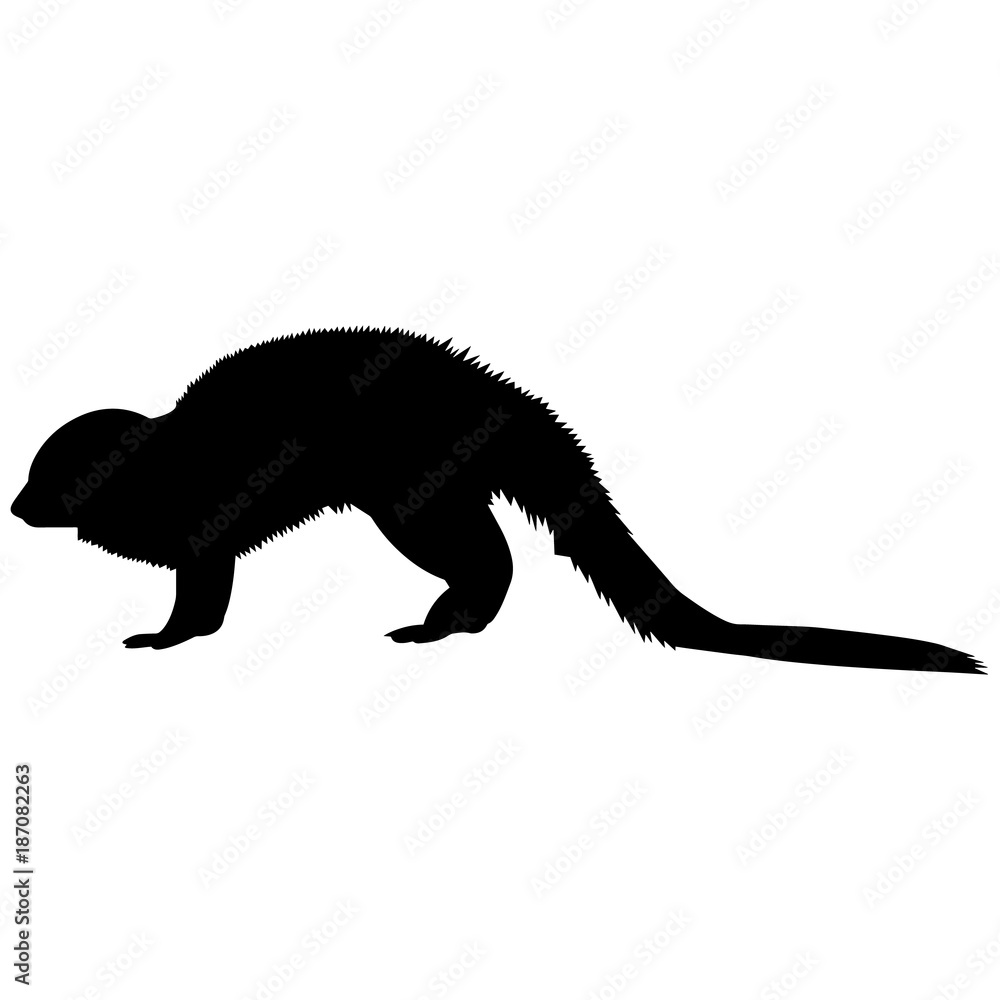 Mongoose Silhouette Vector Graphics Stock Vector | Adobe Stock
