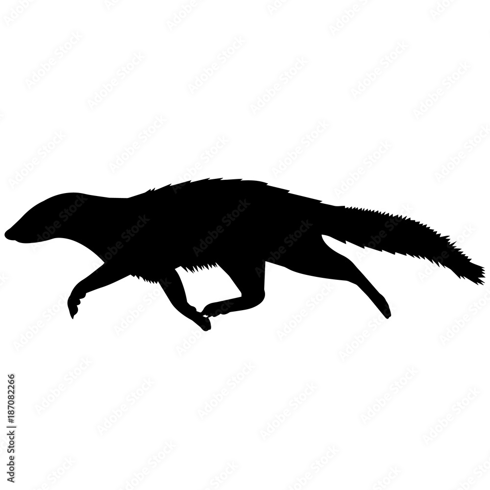 Mongoose Silhouette Vector Graphics Stock Vector | Adobe Stock