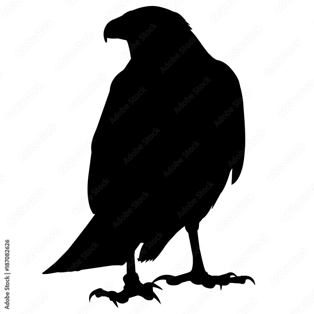 Peregrine falcon Silhouette Vector Graphics Stock Vector | Adobe Stock Peregrine falcon Silhouette Vector Graphics Stock Vector | Adobe Stock