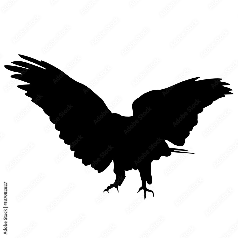 Peregrine falcon Silhouette Vector Graphics Stock Vector | Adobe Stock Peregrine falcon Silhouette Vector Graphics Stock Vector | Adobe Stock