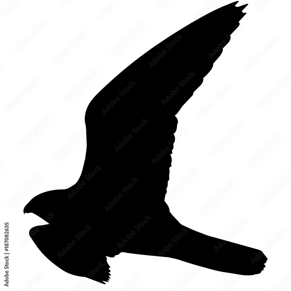Peregrine falcon Silhouette Vector Graphics Stock Vector | Adobe Stock Peregrine falcon Silhouette Vector Graphics Stock Vector | Adobe Stock