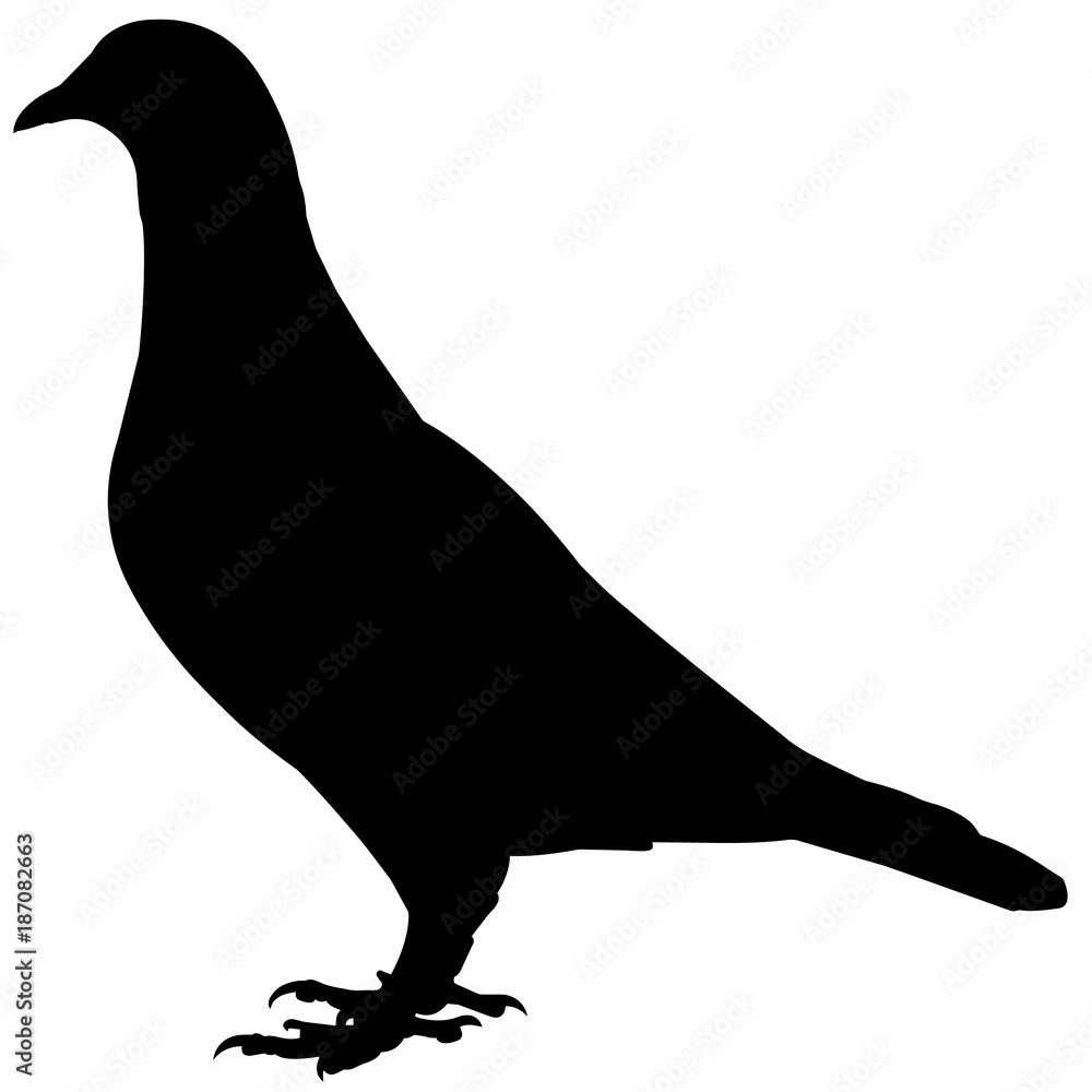 Pigeon Silhouette Vector Graphics Stock Vector | Adobe Stock