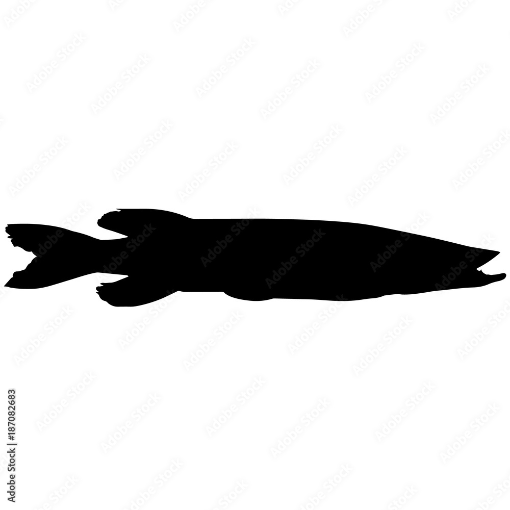 Pike Silhouette Vector Graphics Stock Vector | Adobe Stock