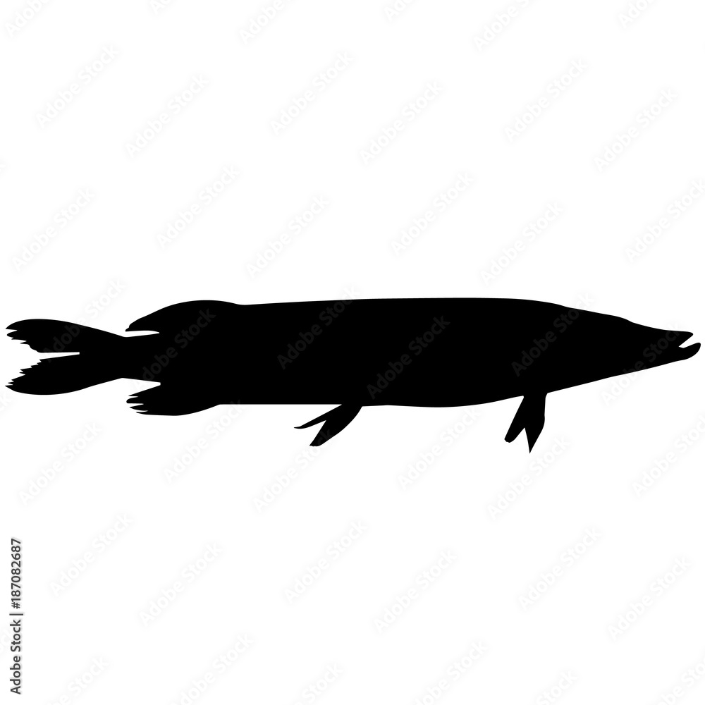 Pike Silhouette Vector Graphics Stock Vector | Adobe Stock