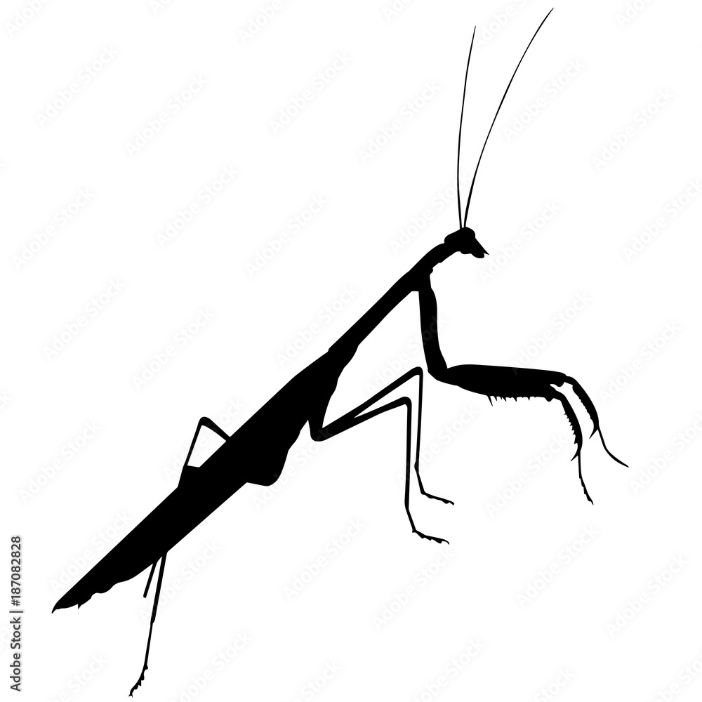 Praying mantis Silhouette Vector Graphics Stock Vector | Adobe Stock