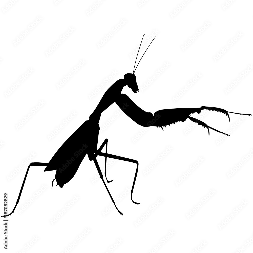 Praying mantis Silhouette Vector Graphics Stock Vector | Adobe Stock