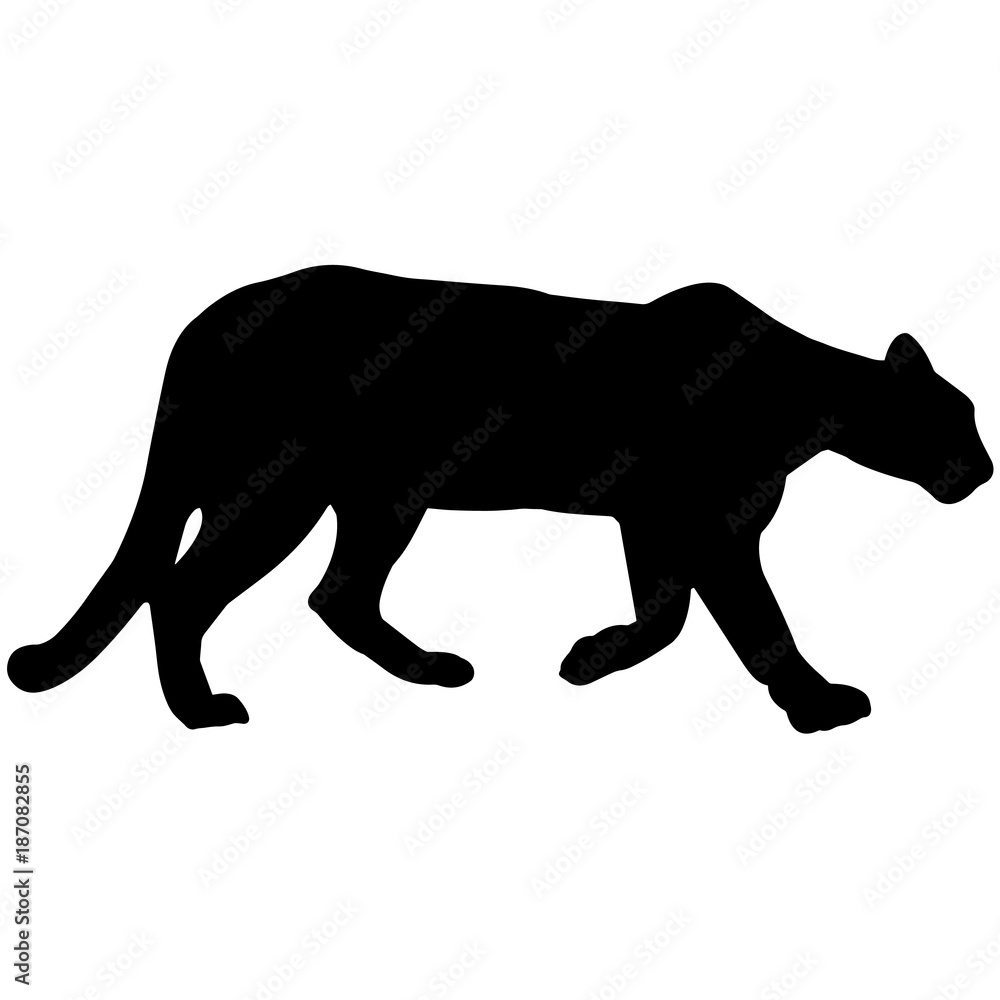 Puma Silhouette Vector Graphics Stock Vector | Adobe Stock