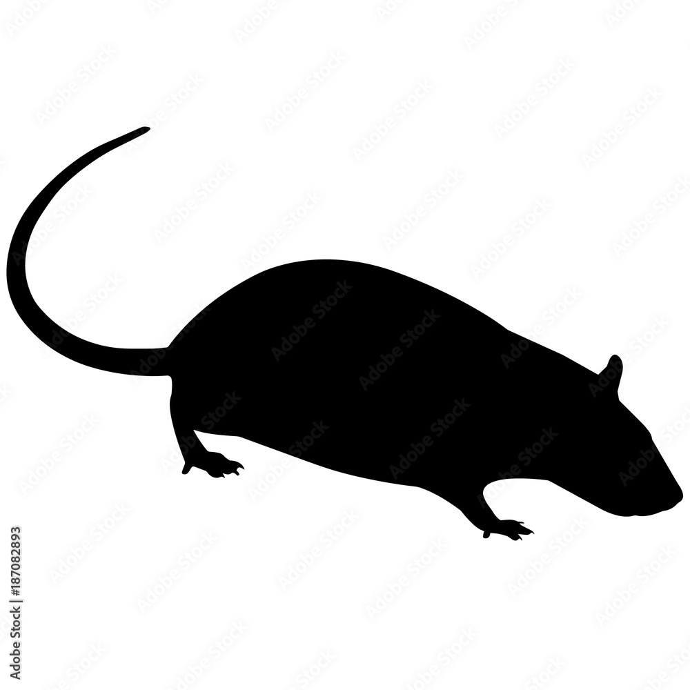 Rat Silhouette Vector Graphics Stock Vector | Adobe Stock