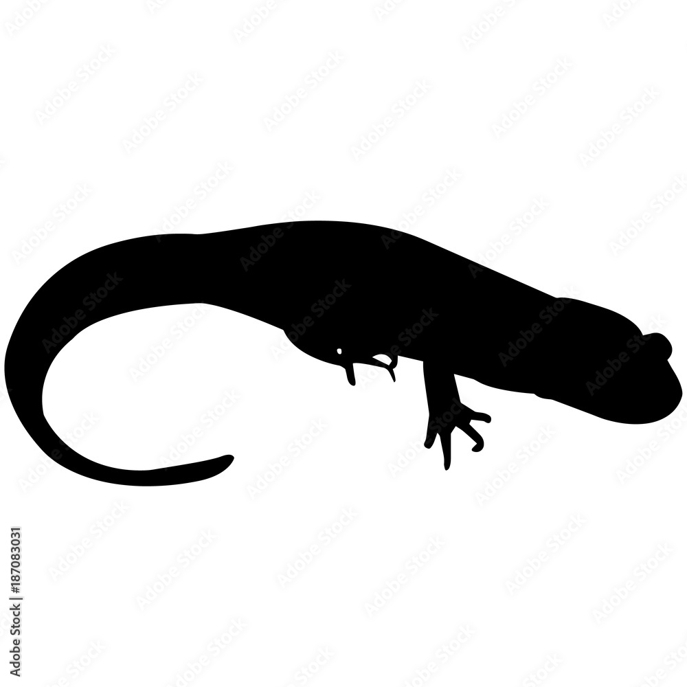 Salamander Silhouette Vector Graphics Stock Vector | Adobe Stock