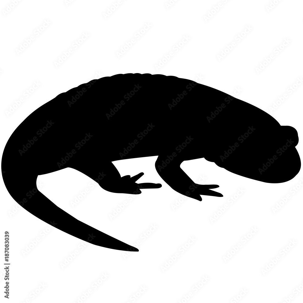 Salamander Silhouette Vector Graphics Stock Vector | Adobe Stock