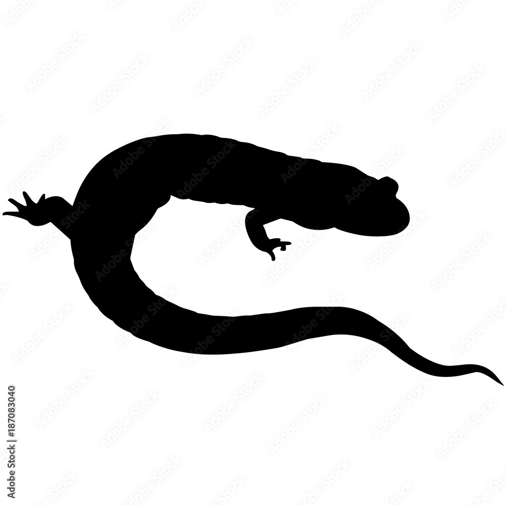 Salamander Silhouette Vector Graphics Stock Vector | Adobe Stock