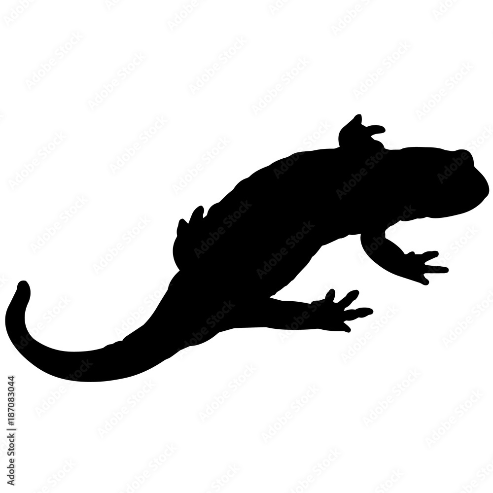 Salamander Silhouette Vector Graphics Stock Vector | Adobe Stock
