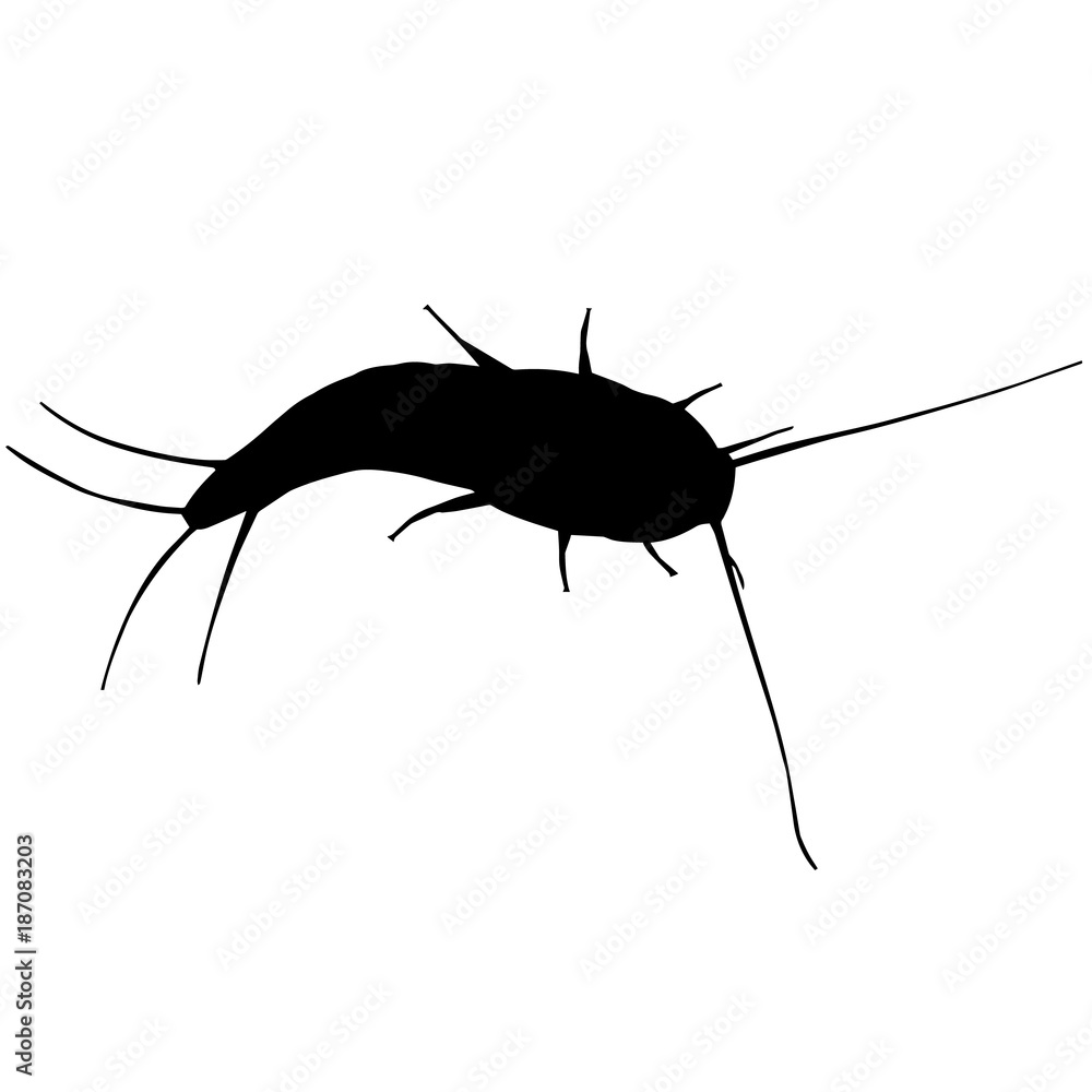 Silver fish Silhouette Vector Graphics Stock Vector | Adobe Stock