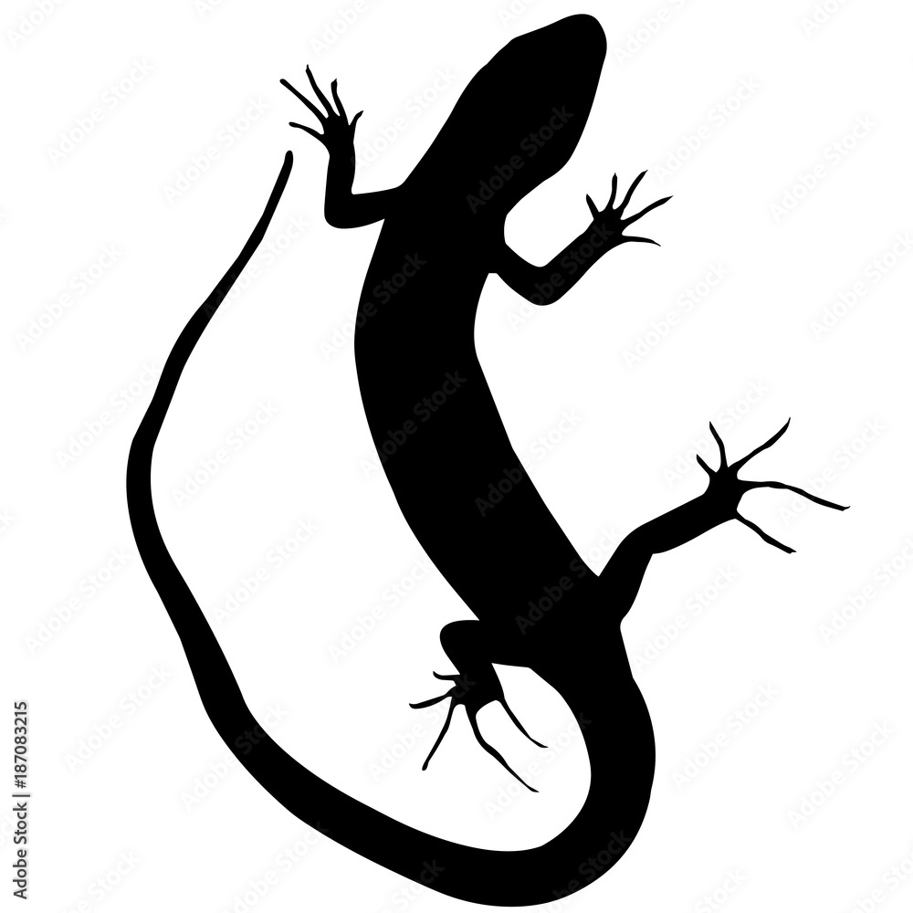 Skink Silhouette Vector Graphics Stock Vector | Adobe Stock