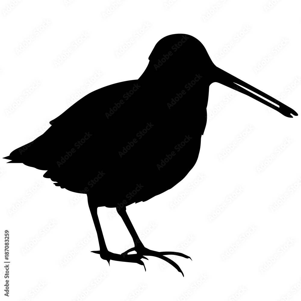 Snipe Silhouette Vector Graphics Stock Vector | Adobe Stock
