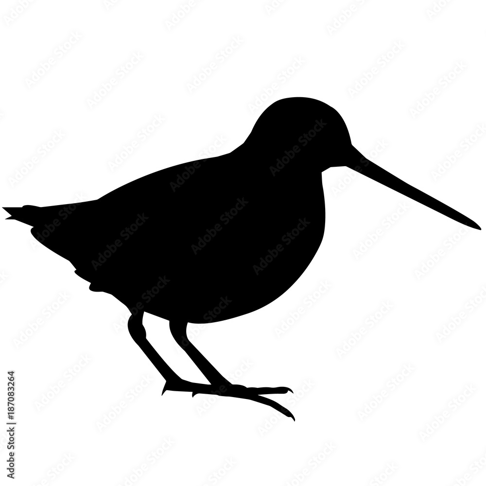 Snipe Silhouette Vector Graphics Stock Vector | Adobe Stock