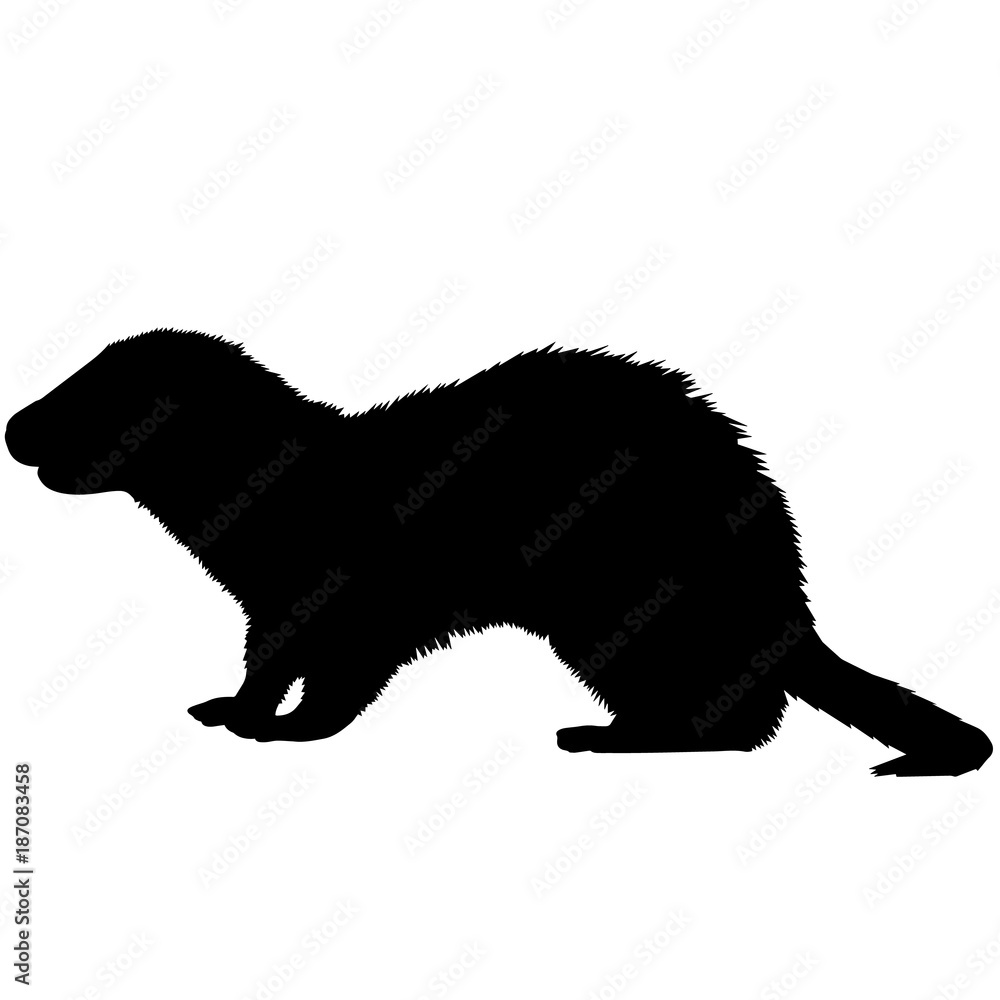 Stoat Silhouette Vector Graphics Stock Vector | Adobe Stock