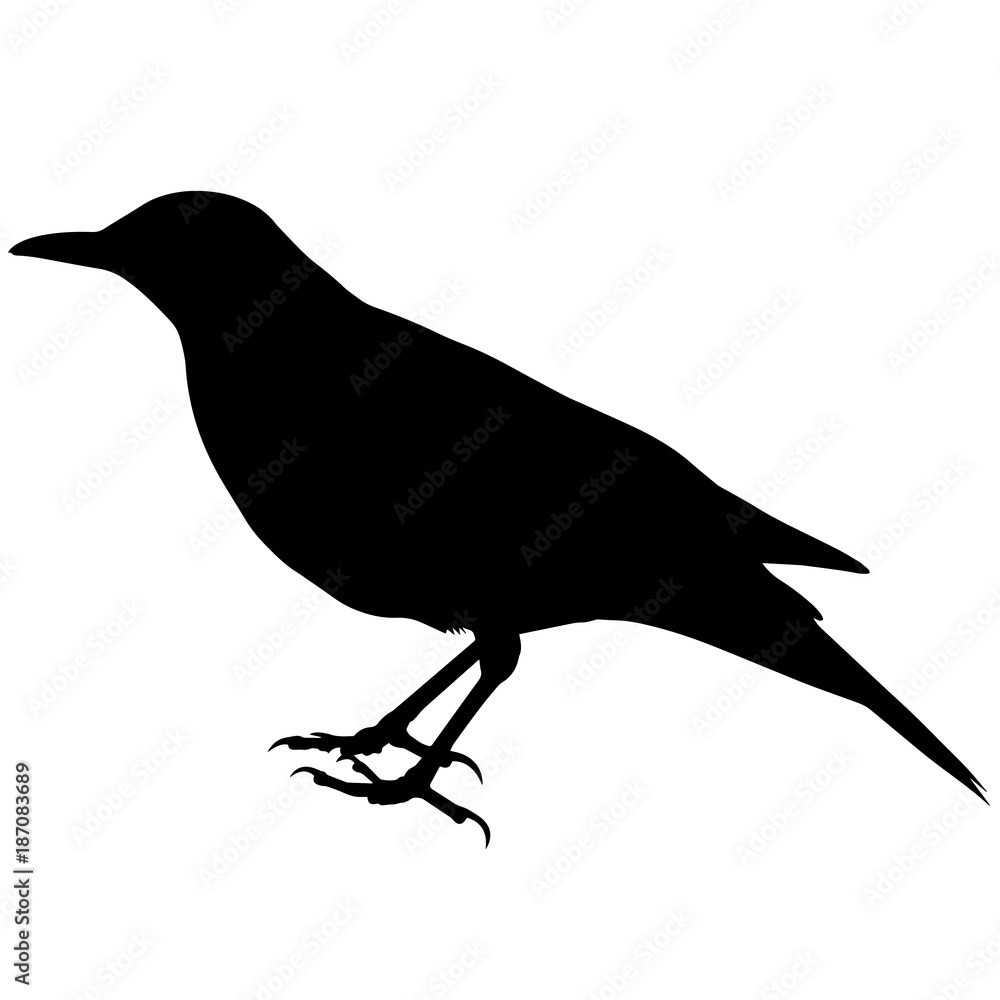 Thrush Silhouette Vector Graphics Stock Vector | Adobe Stock