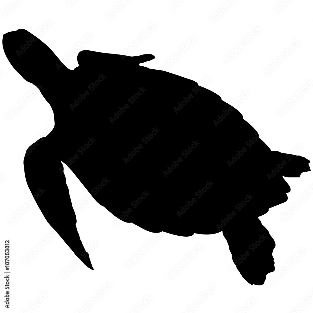 Turtle Silhouette Vector Graphics Stock Vector | Adobe Stock