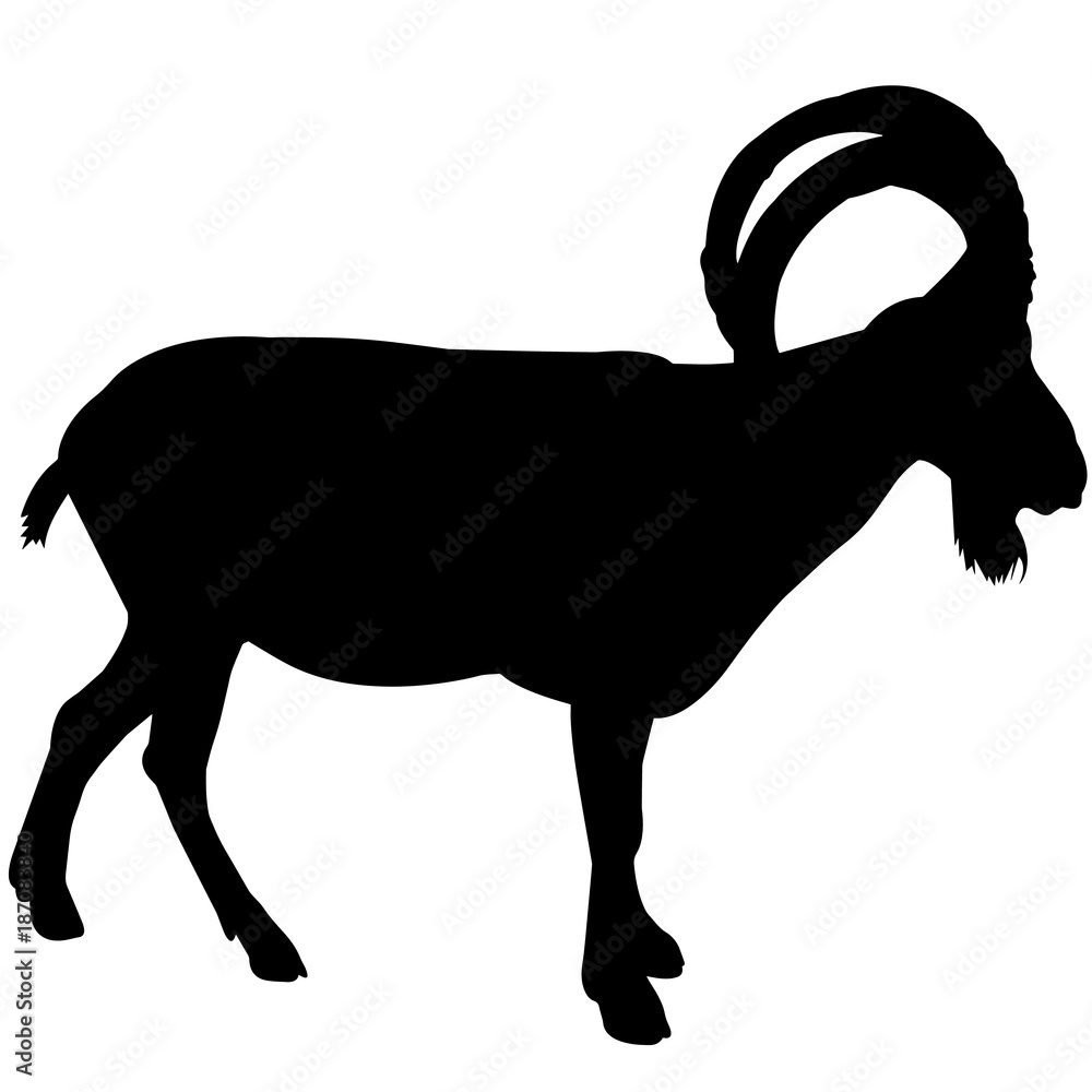 Urial Silhouette Vector Graphics Stock Vector | Adobe Stock