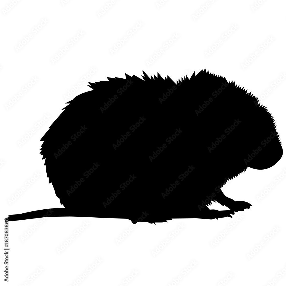 Vole Silhouette Vector Graphics Stock Vector | Adobe Stock